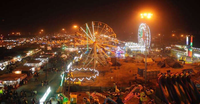 Sonepur Mela 2025: Know It All From History, Events, And Stays To Tips!
