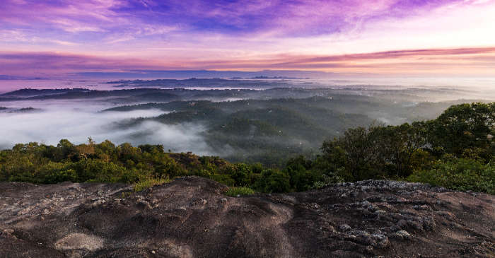 33 Things To Do In Wayanad For An Adventurous Experience In 2026