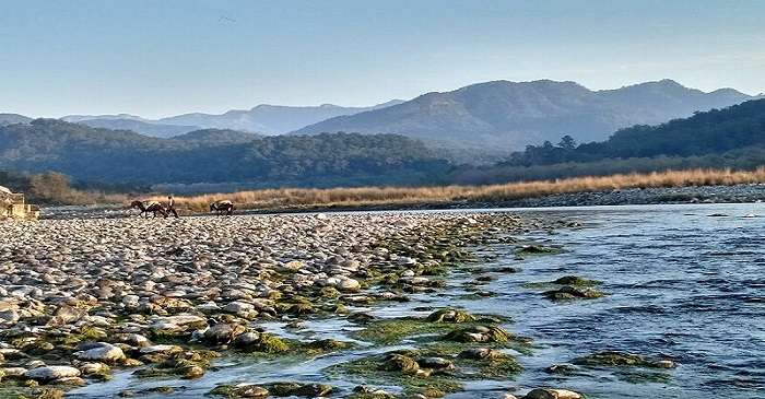 8 Exhilarating Things To Do In Ramnagar For A Fun Trip In 2025