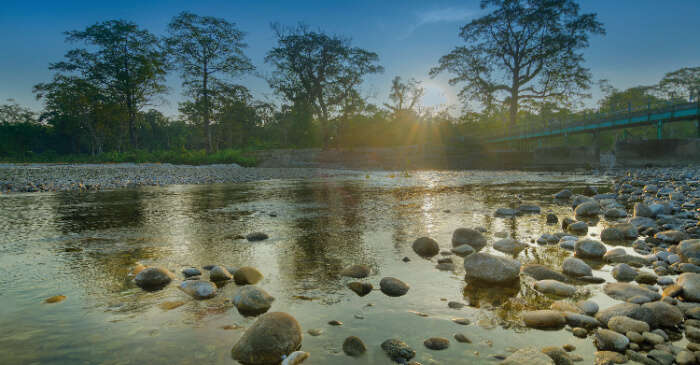 Places To Visit In Dooars To Explore Untamed Natural Beauty In 2025