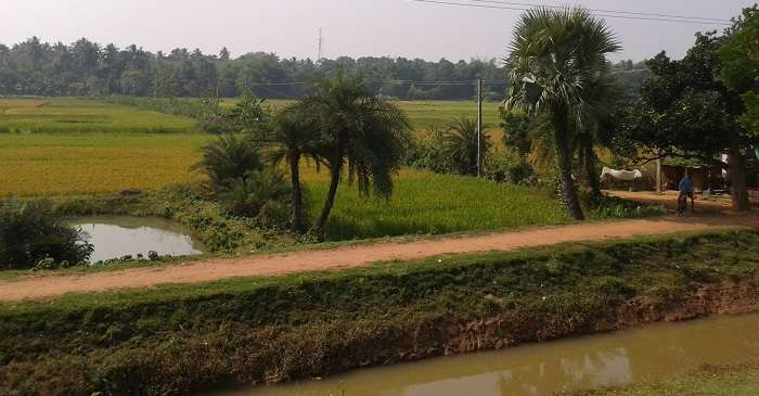 Top 7 Places To Visit In Bhadrak To Make Your Weekend Awesome!
