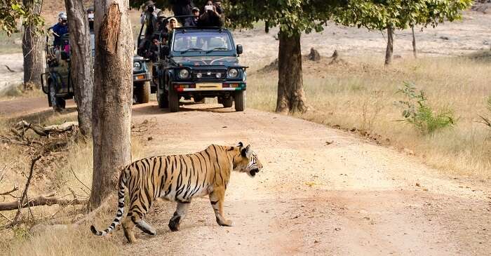 5 Places To Visit Near Pench National Park For Your Next Adventure