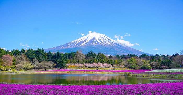 Reasons To Visit Japan: Explore The Land Of Tradition & Innovation