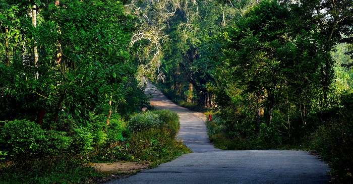 Bangalore To Coorg Road Trip Is Full Of Thrilling Adventures
