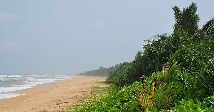 Bentota Beach Is A Coastal Paradise Unveiled In Sri Lanka