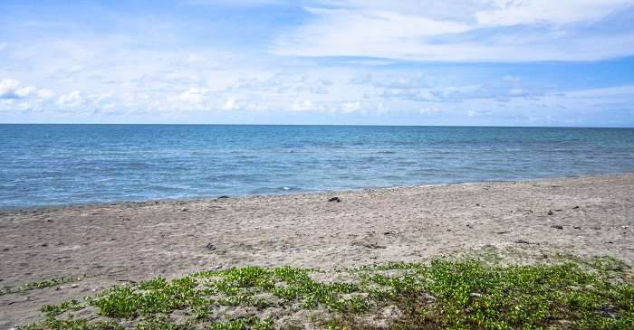 Casuarina Beach Is A Stunning Paradise for Beach Lovers!