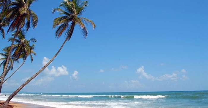 Places to Visit Near Colva Beach For Extra Joy In Goa
