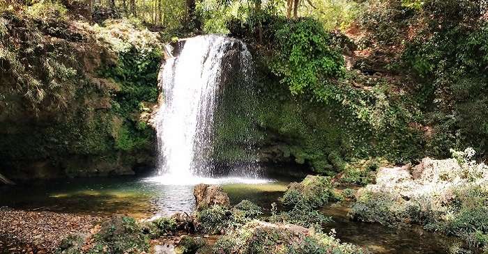 Corbett Falls Is A Serene Escape into The Beauty Of Nature