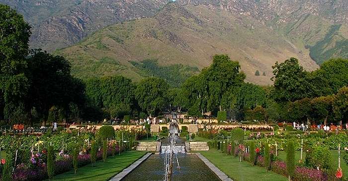 Nishat Bagh Srinagar That You Should Explore On Your Next Adventure