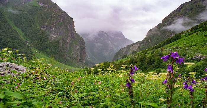 Ghangaria Village Is A Perfect Gateway To Himalayan Majesty