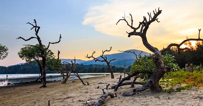 Kalipur Beach Tour With An Ultimate Guide for Visitors