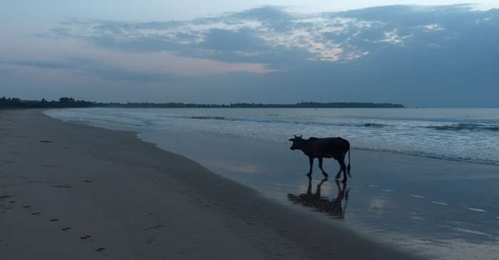 Kalkudah Beach Is The Next Beach You Must Go To