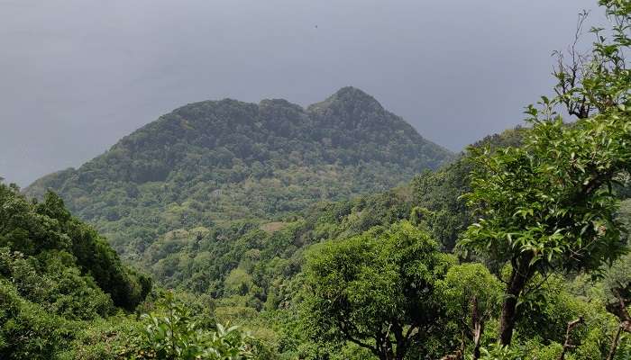 Narcondam Island Is An Exquisite Paradise For Nature Lovers