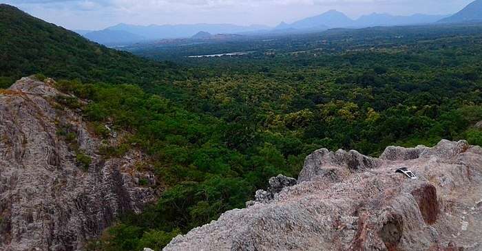 Jathika Namal Uyana In Sri Lanka Is A Treat For The Sore Eyes