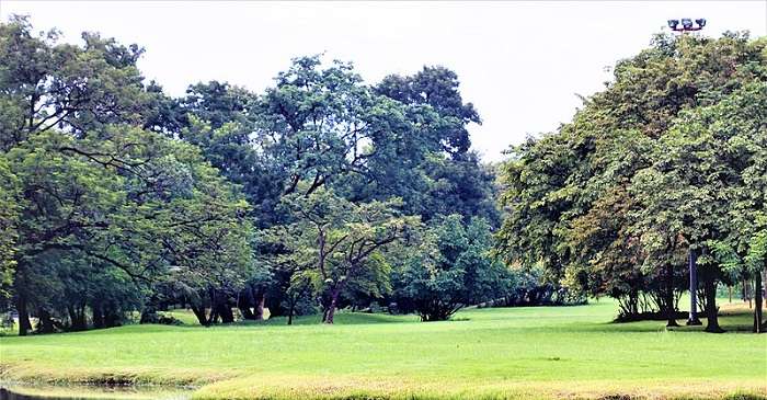 Rot Fai Park: A Tranquil Green Wonder For Serene Escape