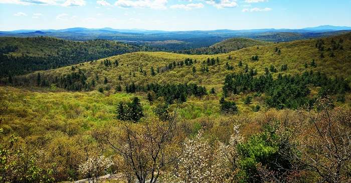 Abbott Mount Travel Guide For Adventure And Nature Enthusiasts In 2025