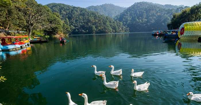 Cafes In Bhimtal Invites You To Savour The Local Delicacies