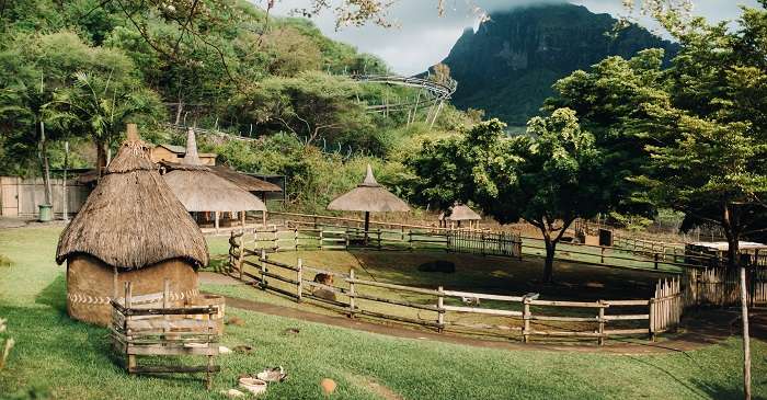 Casela Nature Parks Tour With A Complete Guide For The Thrill Seekers