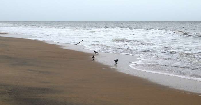 Chavakkad Beach, Thrissur- All You Need To Know In 2026