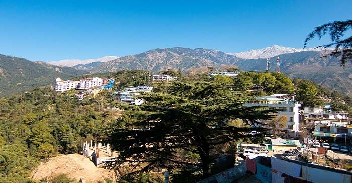 Dalai Lama Temple Offers You To Know About Tibetan Cultures