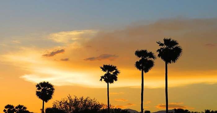 Hotels In Perur A Guide To Experience The Culture And Traditions