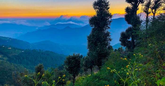 Kanatal in December 2025: An Ultimate Guide for a Memorable Vacation