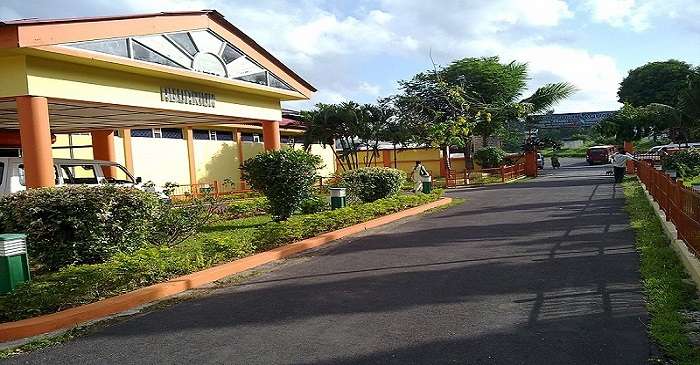 Forest Museum In Andamans That Unveils Nature’s Rich Heritage At the