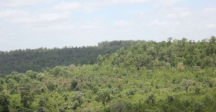 Pocharam Wildlife Sanctuary Here Is Everything You Need to Know