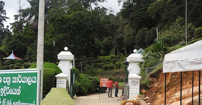 Hakgala Botanical Garden In Nuwara Eliya With A Guide For Nature Lovers
