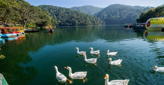 Camping in Bhimtal Guide To An Adventure-Filled Getaway Amidst Nature