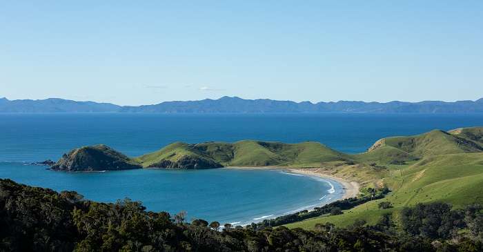 Port Jackson Bay Is A Guide To Uncover The Beauty Of Australia