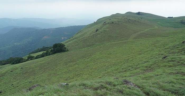 Top Resorts near Paithalmala | Ideal Stay Options