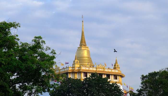 Wat Saket Tour With Your Comprehensive Travel Guide In Bangkok