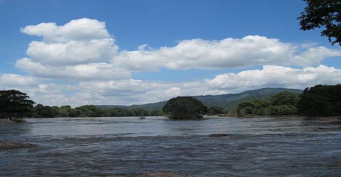 Cauvery Wildlife Sanctuary This Is A Master Guide For Visitors