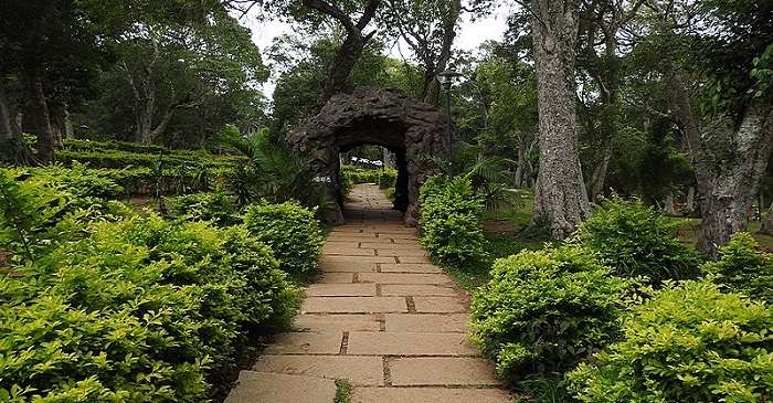 Botanical Garden Yercaud To Witness The Glory Of Rich Flora And Fauna