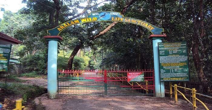 Aralam Wildlife Sanctuary To Discover Biodiversity In 2025