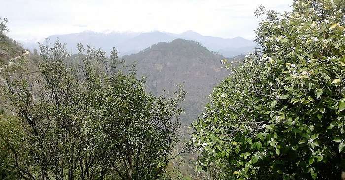 Askot Has To Be Your Next Go-To Place In The Mountains Of Uttarakhand