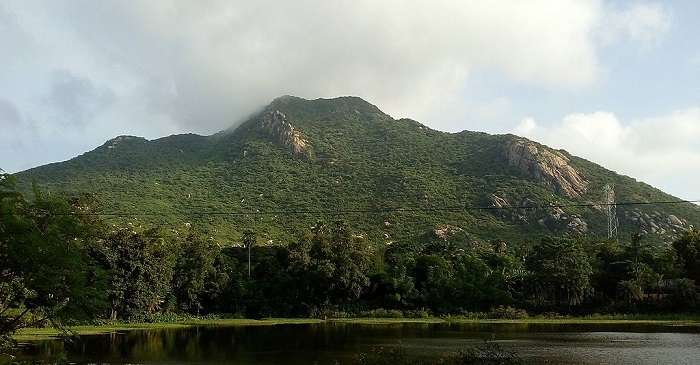 Hotels In Simlipal National Park A Detailed Guide For Tourists