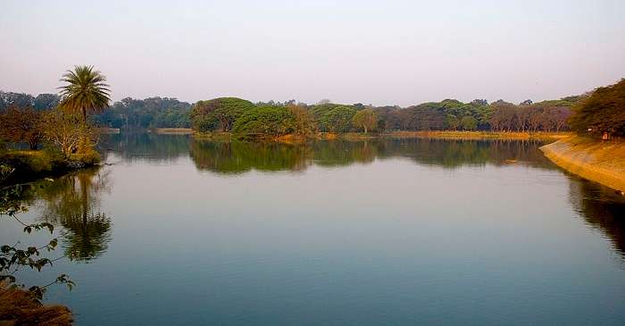 Hennur Lake Guide And Everything You Need To Know