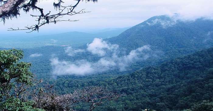 Homestays In Agumbe Offers Best Accomodation Options In 2025