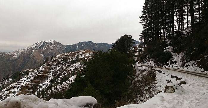 Kausani Snowfall | Guide For A Winter Vacation 2026!