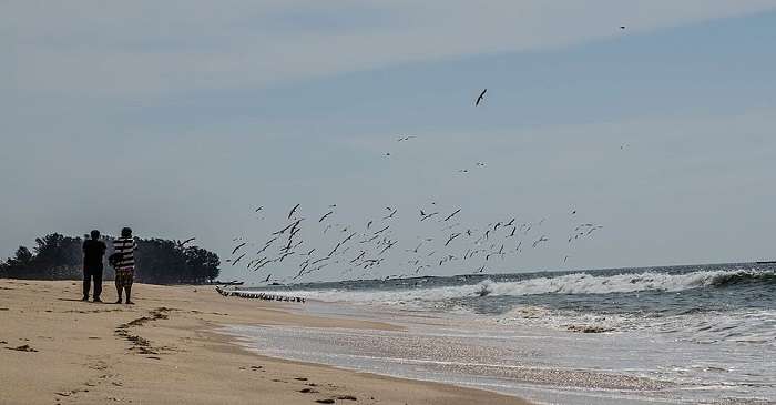 Maravanthe Beach Takes You Away From The Chaos Of The City In 2025