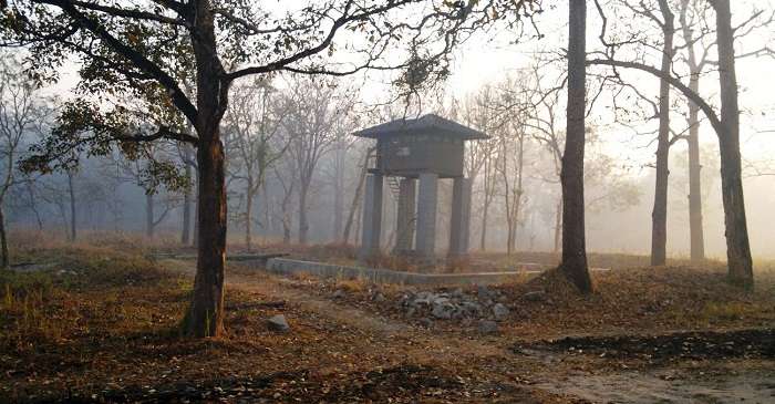 Muthanga Wildlife Sanctuary A Guide To Explore Flora & Fauna In 2025