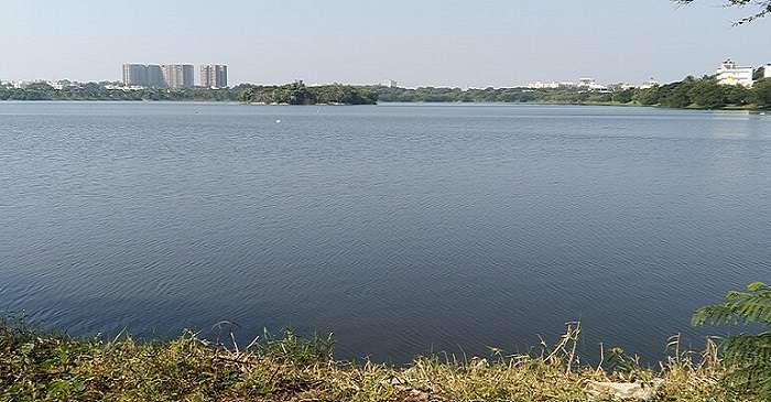 Rachenahalli Lake Guide And Everything You Need To Know