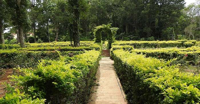 Rose Garden Yercaud Is A Paradise For The Rose Lovers In 2025