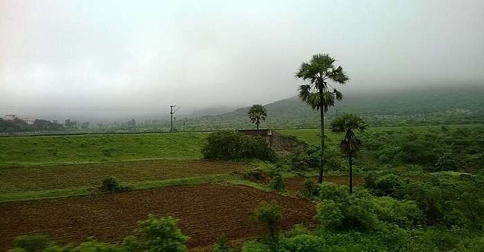 Explore Walayar: Wildlife Safaris, Waterfalls & Hidden Kerala Gems