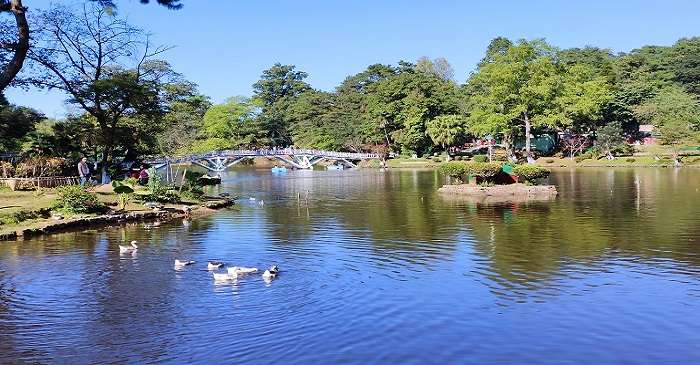 Ward’s Lake Can Be Your Next Ultimate Destination In Shillong