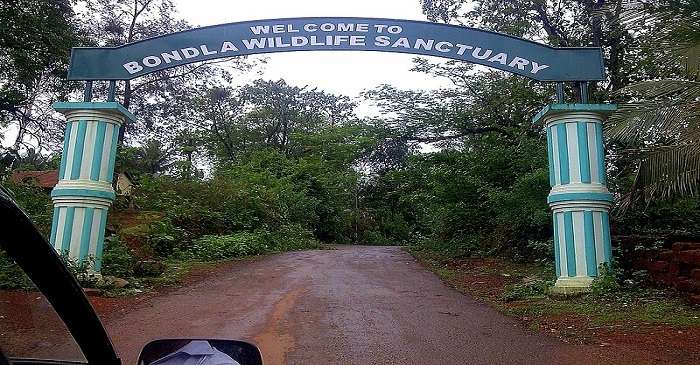Bondla Wildlife Sanctuary Complete Guide For Tourists In 2025