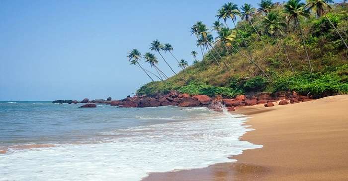 Hotels Near Colva Beach Offers An Ultimate Staycation In 2025