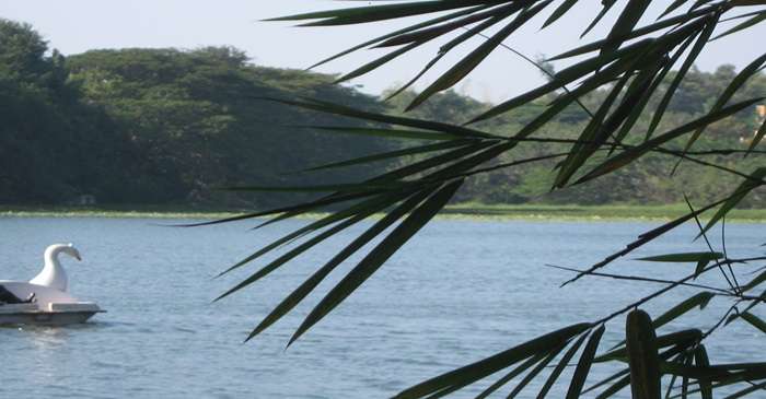Karanji Lake In Mysore To Explore A Must-Visit Destination